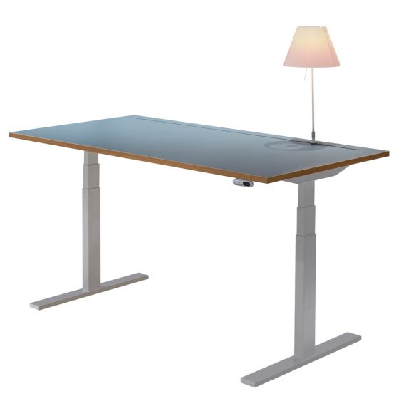 Design Meets Movement is an entity formed by LINAK